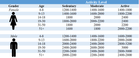 How Many Calories Should I Eat Everyday to Lose Weight? - HealthxTips